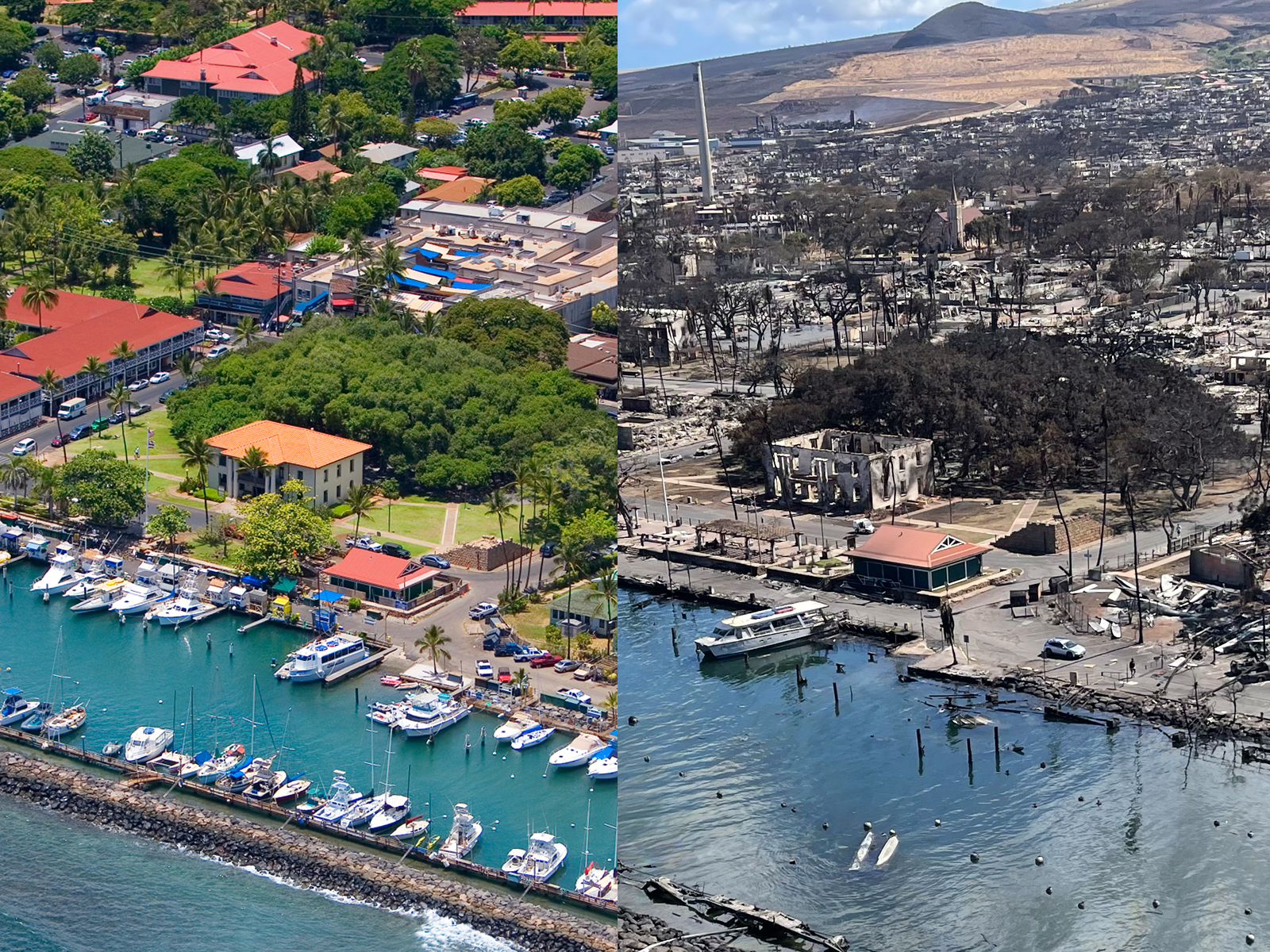 Learn How the 2023 Lahaina Fire in Hawaiʻi Unfolded - UL Research ...
